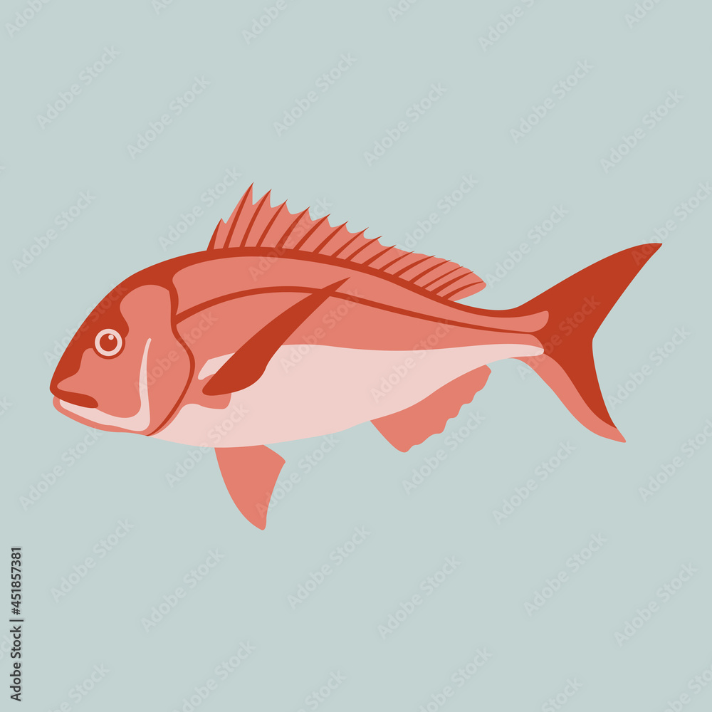 snapper fish, vector illustration, flat style, side Stock Vector ...