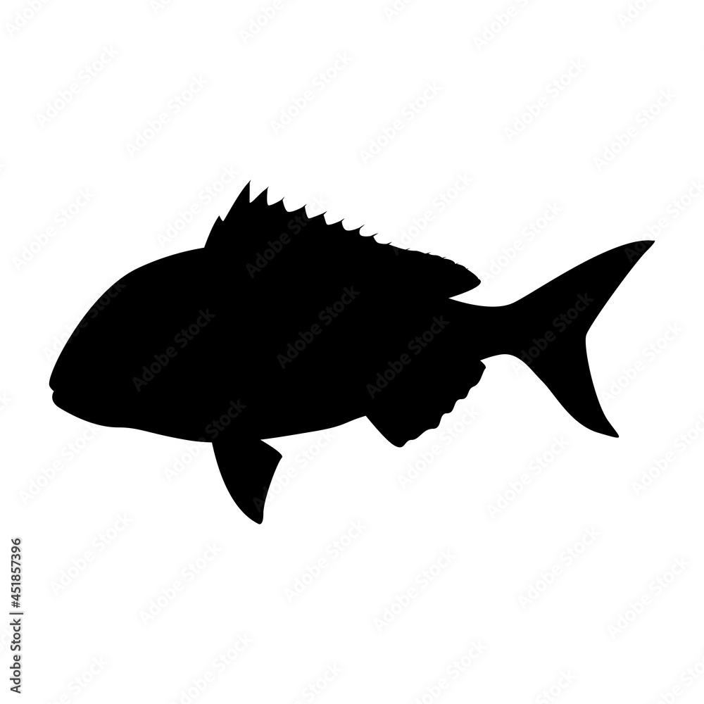 snapper fish, vector illustration, black silhouette, side Stock Vector ...