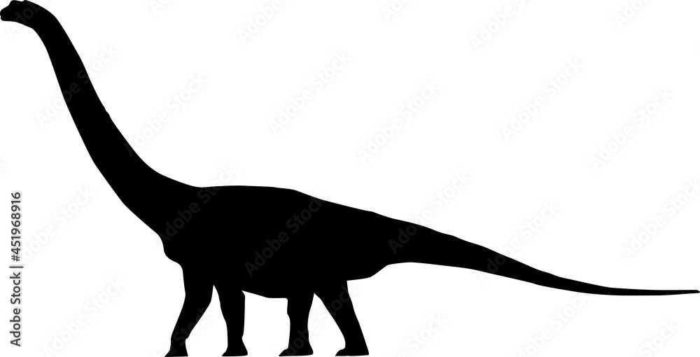 Dinosaur. The silhouette of a large dinosaur with a long neck ...