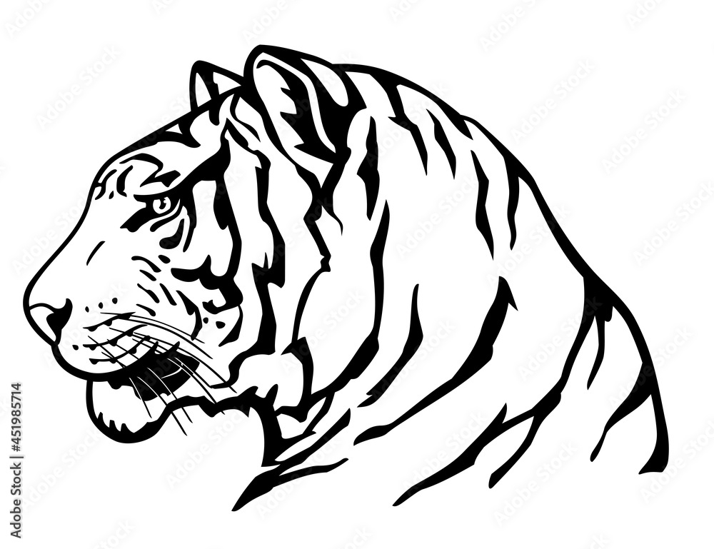 Tiger Side View Face, Wild Animal Illustration Stock Vector | Adobe Stock