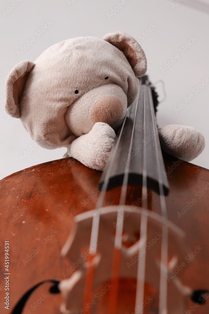 teddy bear playing double bass Stock Photo | Adobe Stock
