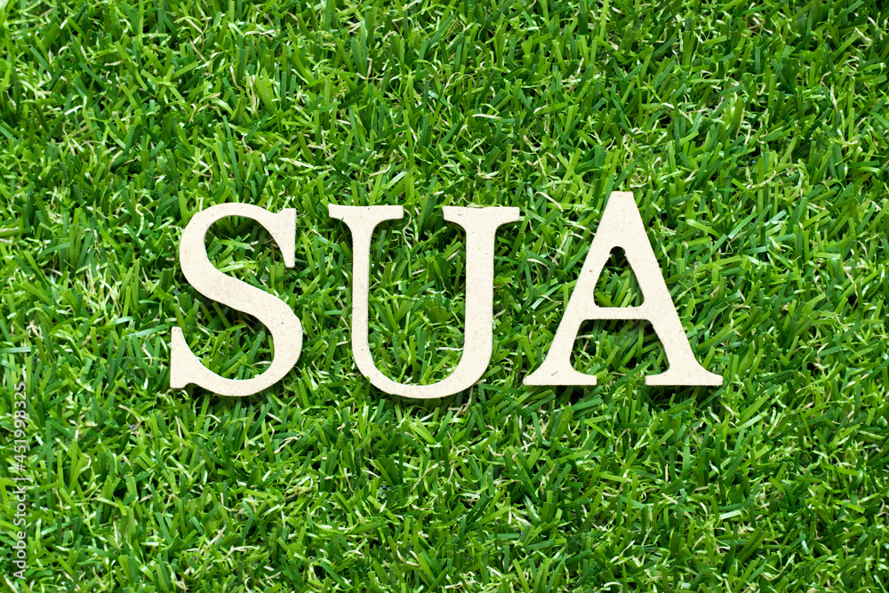 Alphabet letter in word SUA (Abbreviation of Single use account) on ...