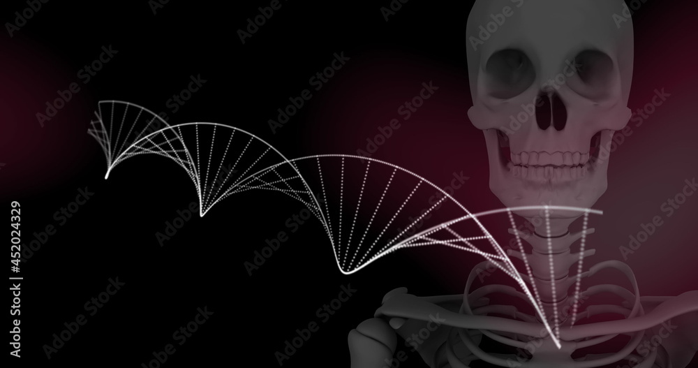 Digital image of dna structure spinning against human skeleton model on ...