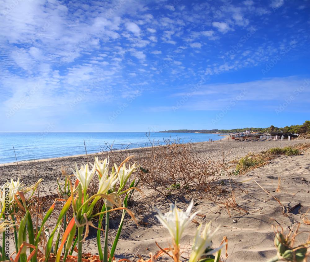 Foto de The most beautiful sandy beaches of Apulia in Italy: Alimini ...