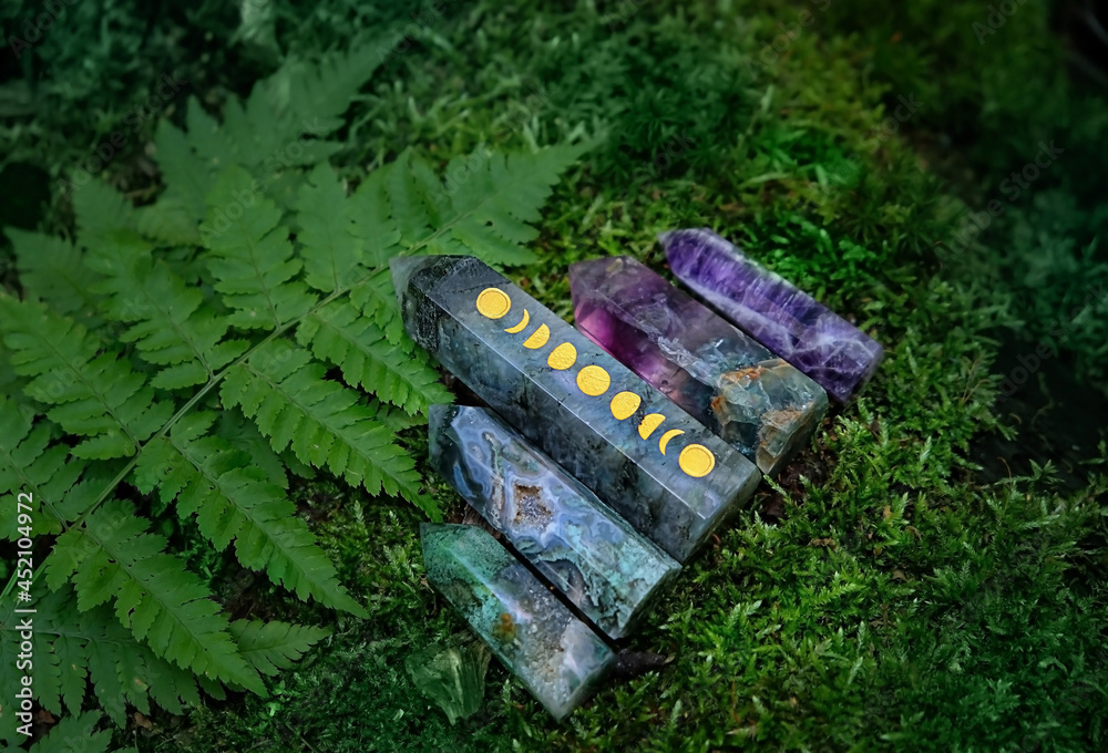 Gemstones crystals and fern leaf in mysterious forest, natural green ...
