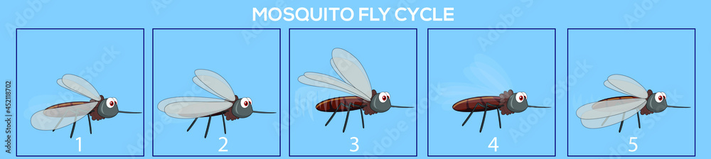Mosquito frame by frame loopable vector file ready for 2D animation ...