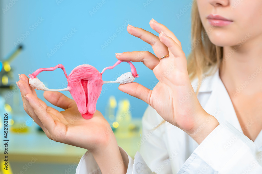 Female uterus and ovaries. Female anatomy concept. Detailed uterus in ...