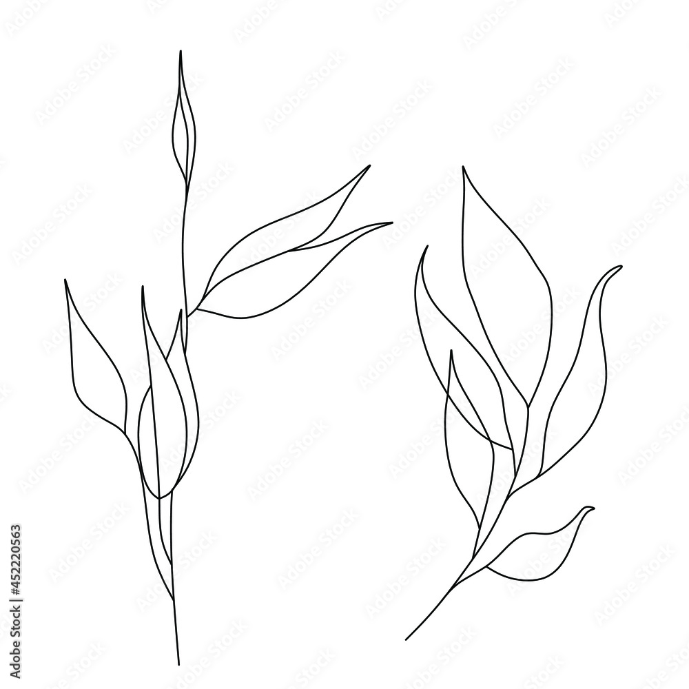 Abstract plant one line drawing. Hand drawn modern minimalistic design ...