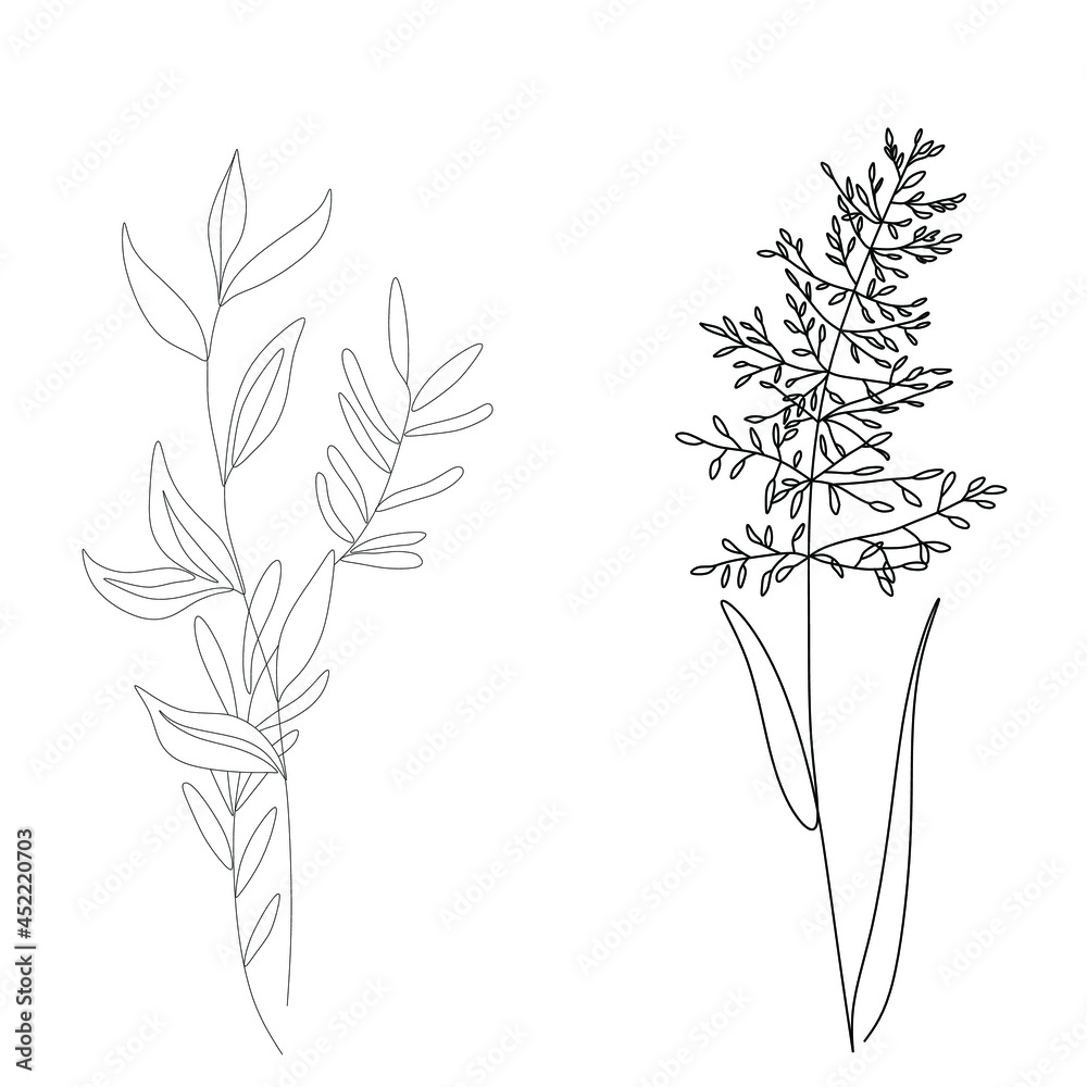 Abstract plant one line drawing. Hand drawn modern minimalistic design ...