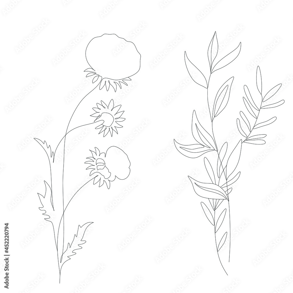 Abstract plant one line drawing. Hand drawn modern minimalistic design ...