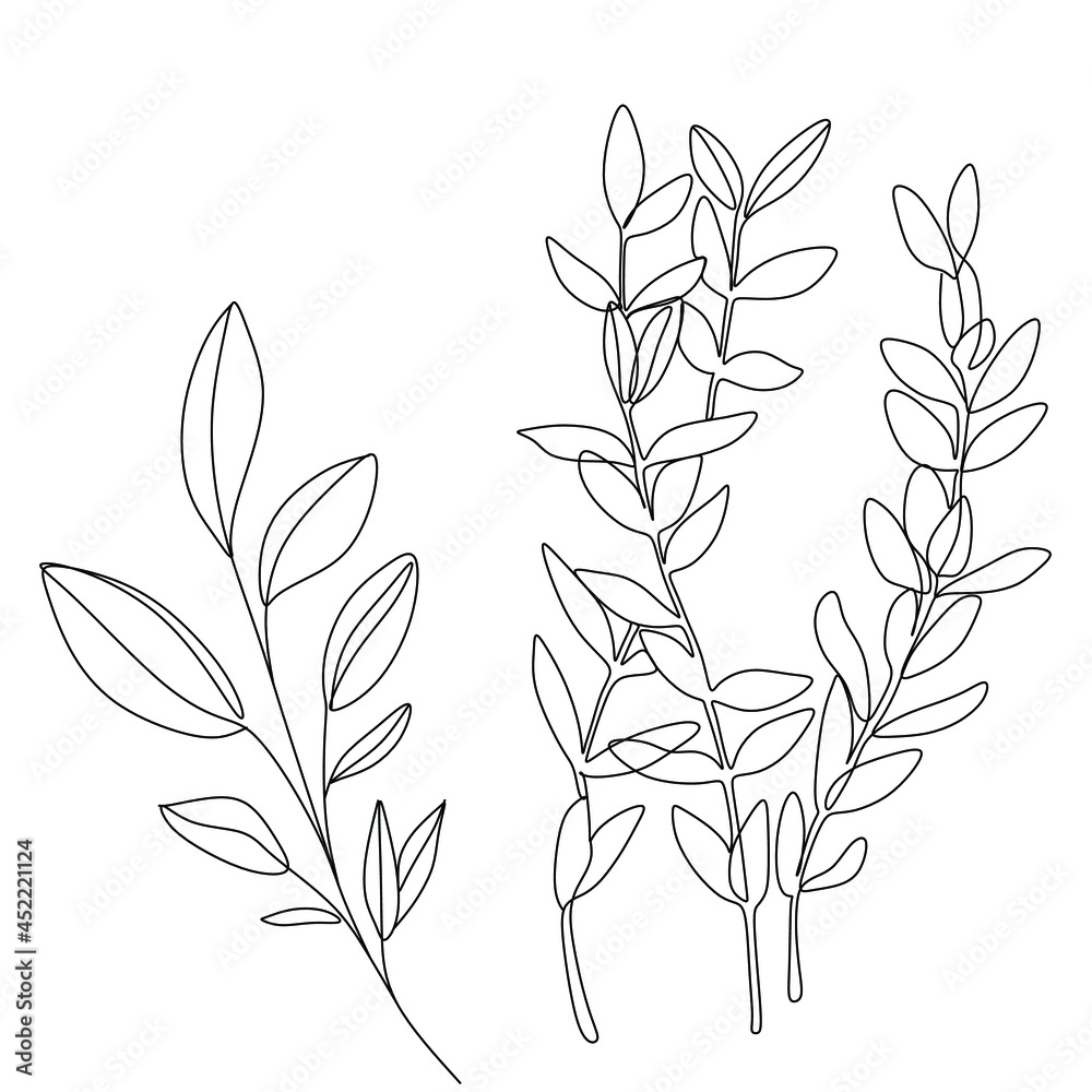 Abstract plant one line drawing. Hand drawn modern minimalistic design ...
