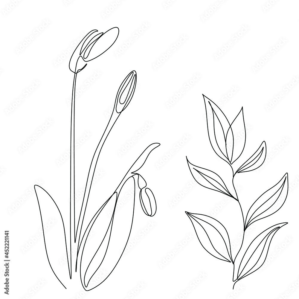 Abstract plant one line drawing. Hand drawn modern minimalistic design ...