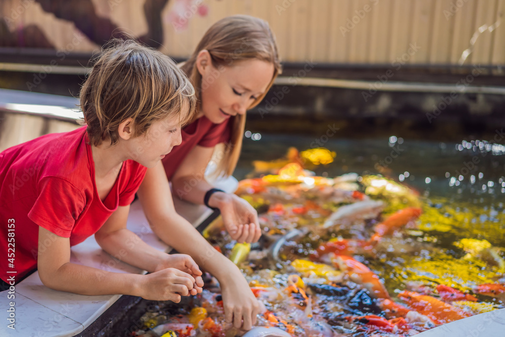 Mom and son feed koi fish. Beautiful koi fish swimming in the pond ...