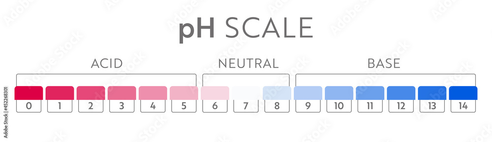 pH Value scale chart. Acid-base balance infographic. Education Poster ...
