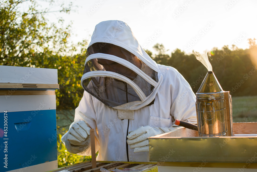 Beekeeper doing bee treatment against varroa mite, close up Stock Photo ...