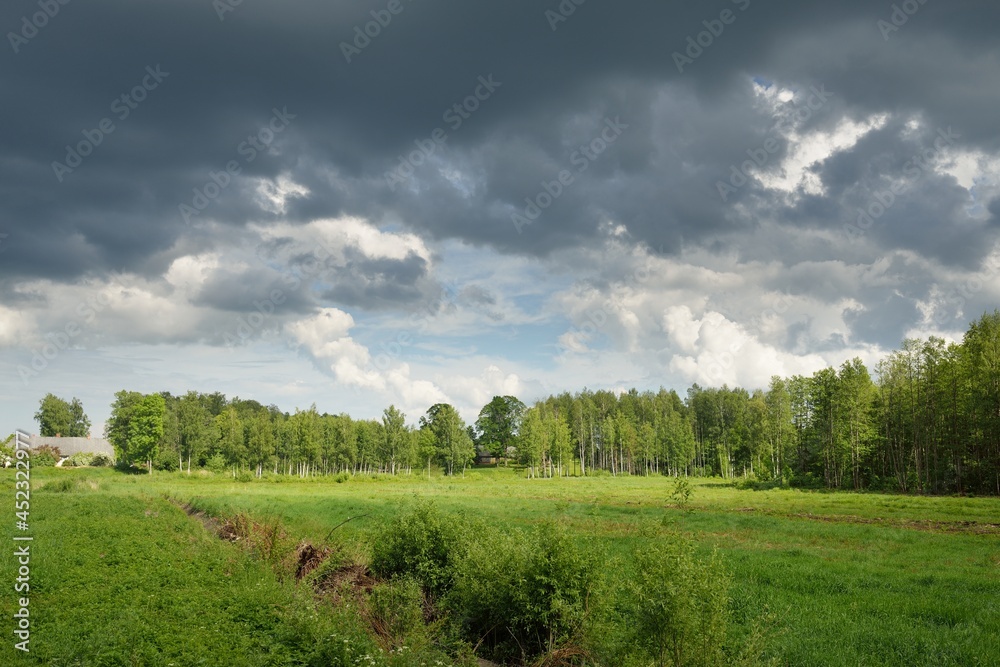 Traditional country house on a green forest lawn. Idyllic rural scene ...