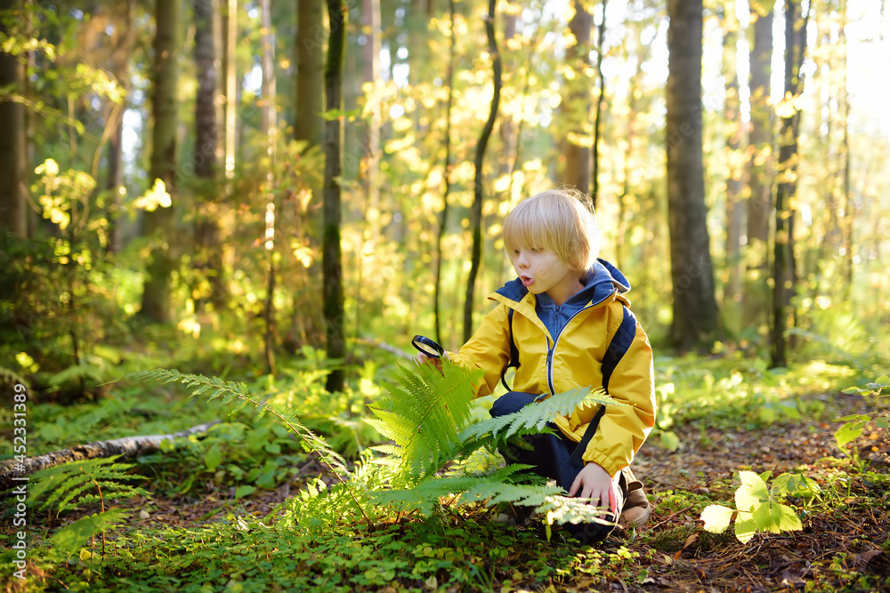 Preschooler boy is exploring nature with magnifying glass. Little child ...