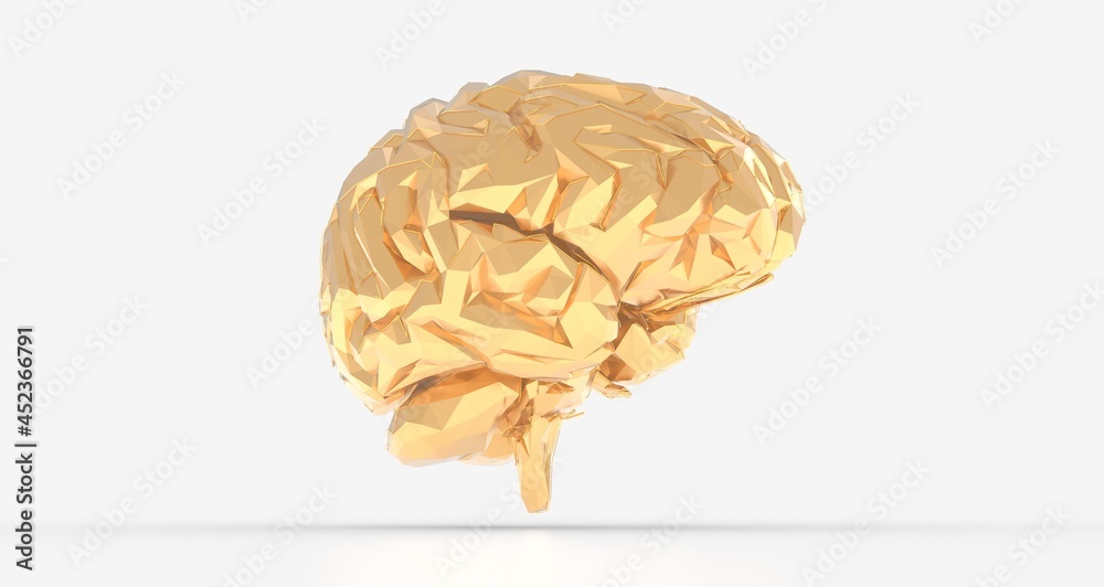 Human brain activity with plexus lines.. External cerebral connections ...