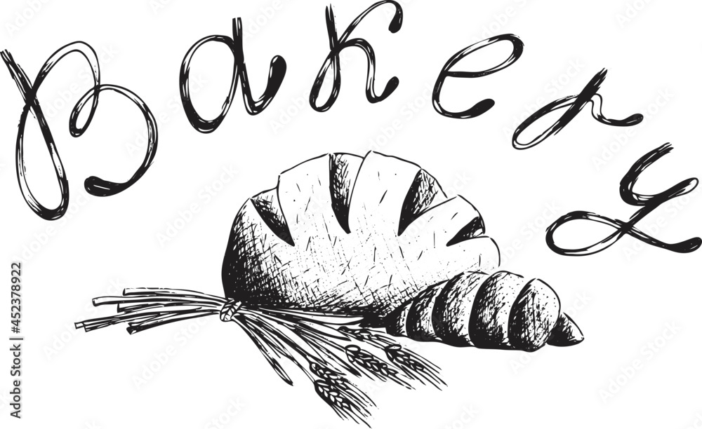 Vector vintage hand drawn backery print. Bread and croissant, wheat ...