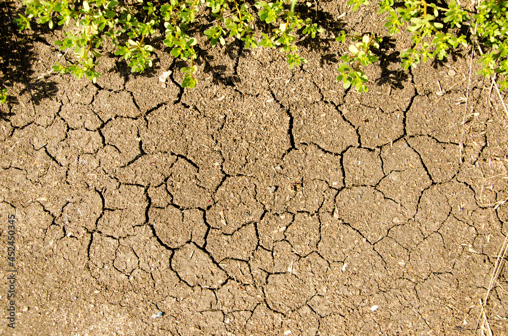 The texture of dry soil on the ground, Top view, Dry cracked ground ...