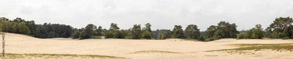 Very wide panorama of Soesterduinen sand dunes in The Netherlands ...
