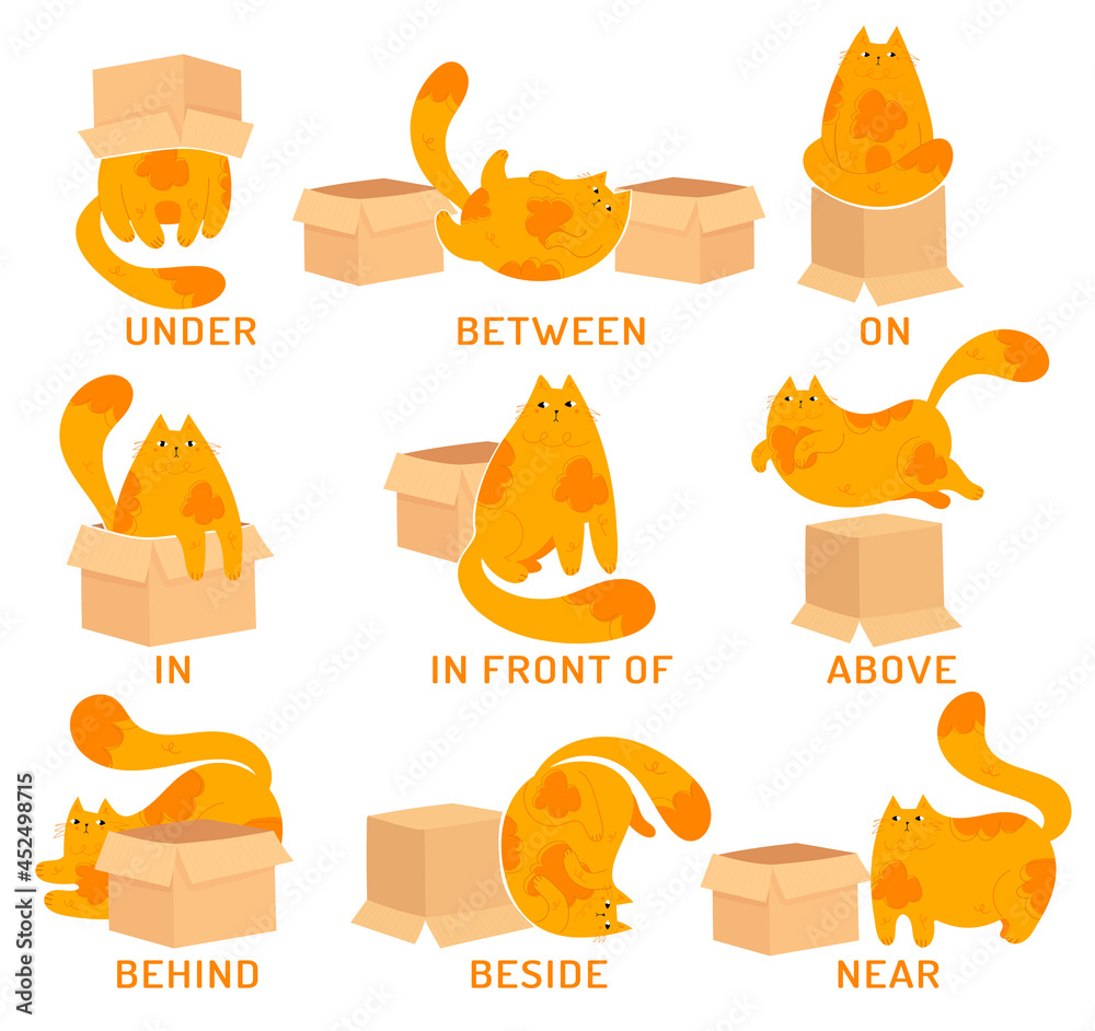 Learning prepositions of place. Funny fat cat character and paper box ...