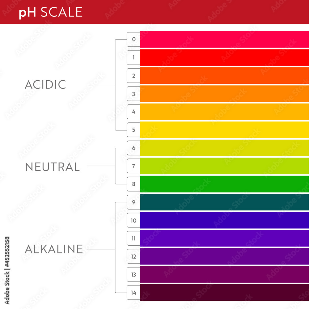 pH Value scale chart. Acid-base balance infographic. Education Poster ...