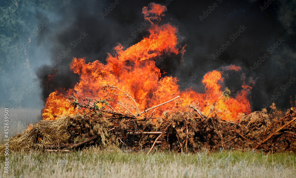 Fire, burn, forest fire, fire, smoke, firefighter, natural disaster ...