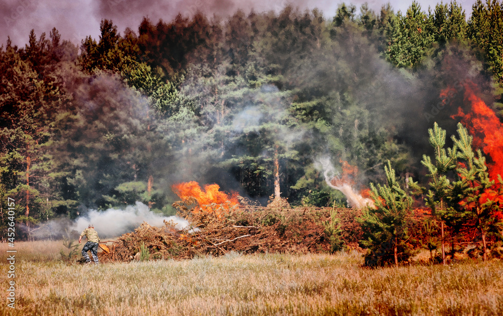 Firefighters extinguish a forest fire in the reserve on a summer day ...