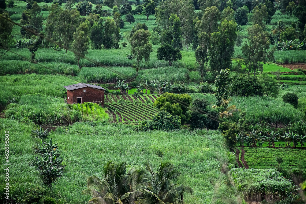 Stock photo small red brick farm house situated in the middle ...