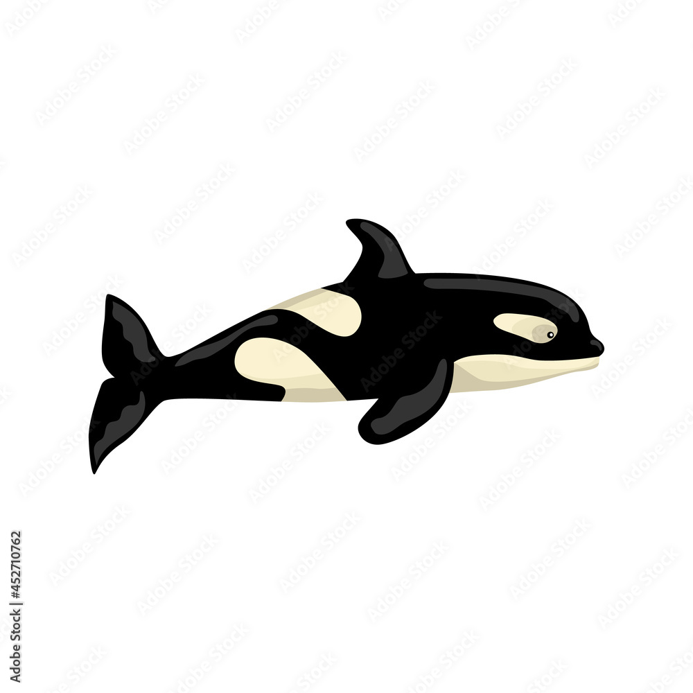 Orca isolated on white background. Cartoon character of ocean for ...