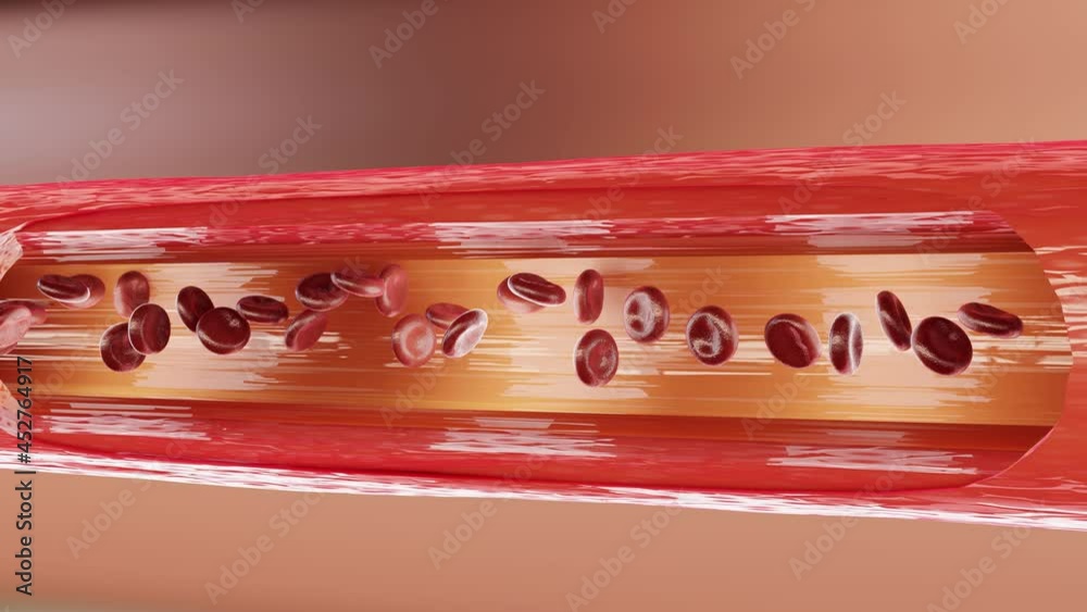 Red blood cells flow inside an artery, cross section. Healthy red blood ...