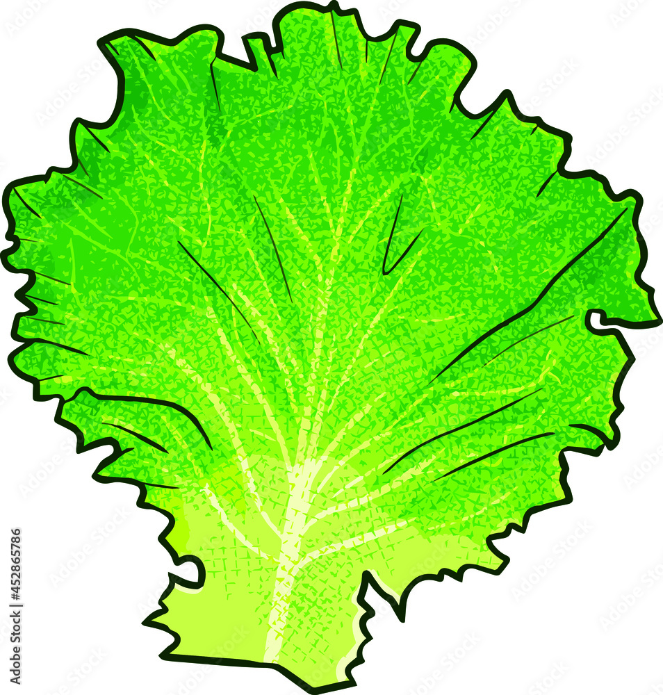 Lettuce Leaf Cartoon