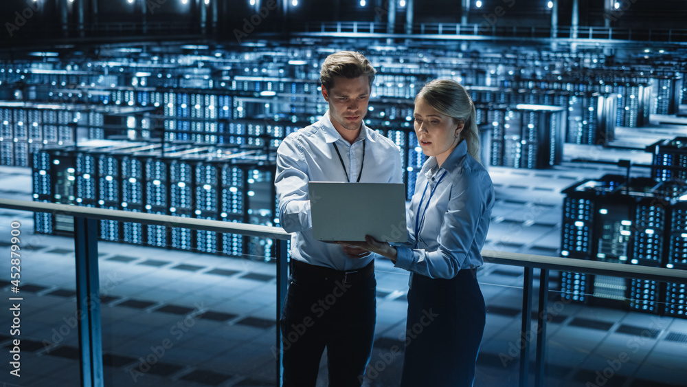 Data Center Female e-Business Enrepreneur and Male IT Specialist talk ...