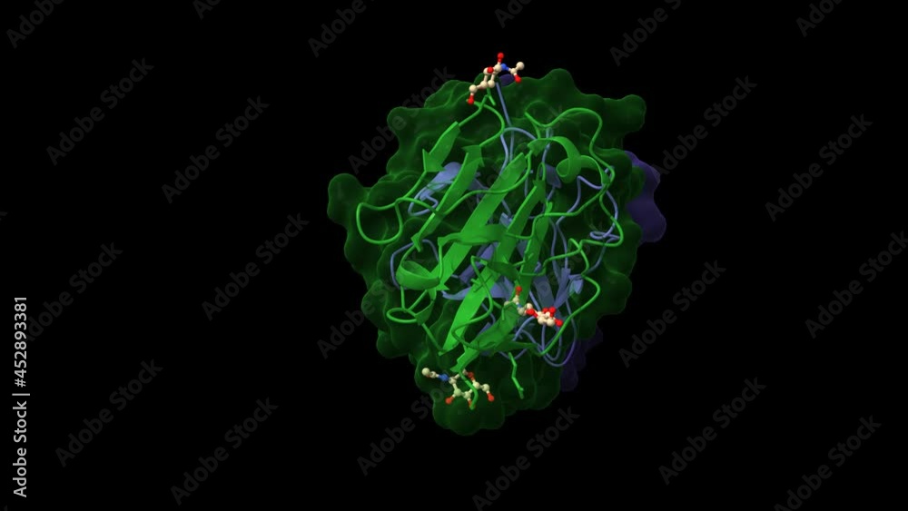 Structure of human CD47 (green) in complex with human signal-regulatory ...