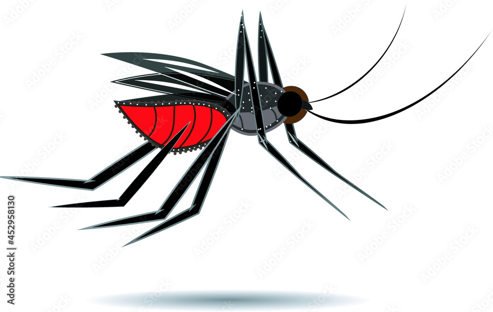 Cartoon of Aedes mosquito illustration vector.Mosquitoes carry many ...