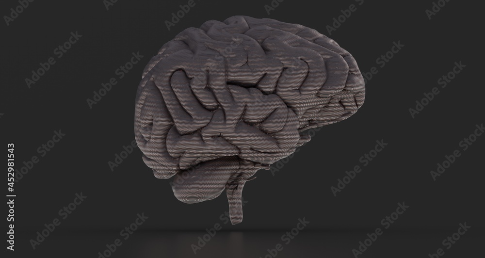 Human brain activity with plexus lines.. External cerebral connections ...