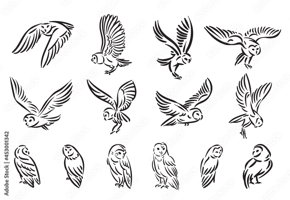 Line style owl bird hand drawn illustration set Stock Vector | Adobe Stock