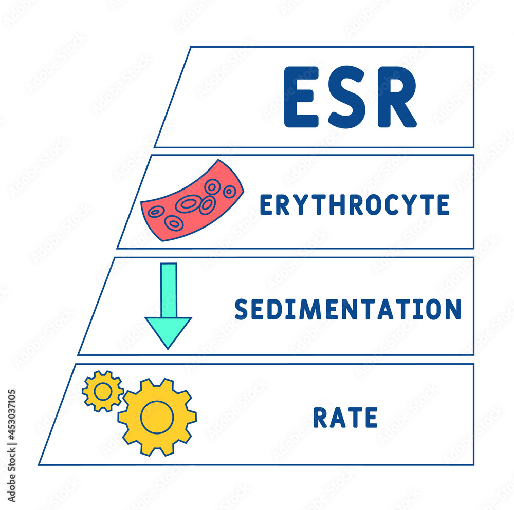 Vecteur Stock ESR - Erythrocyte Sedimentation Rate acronym. medical ...