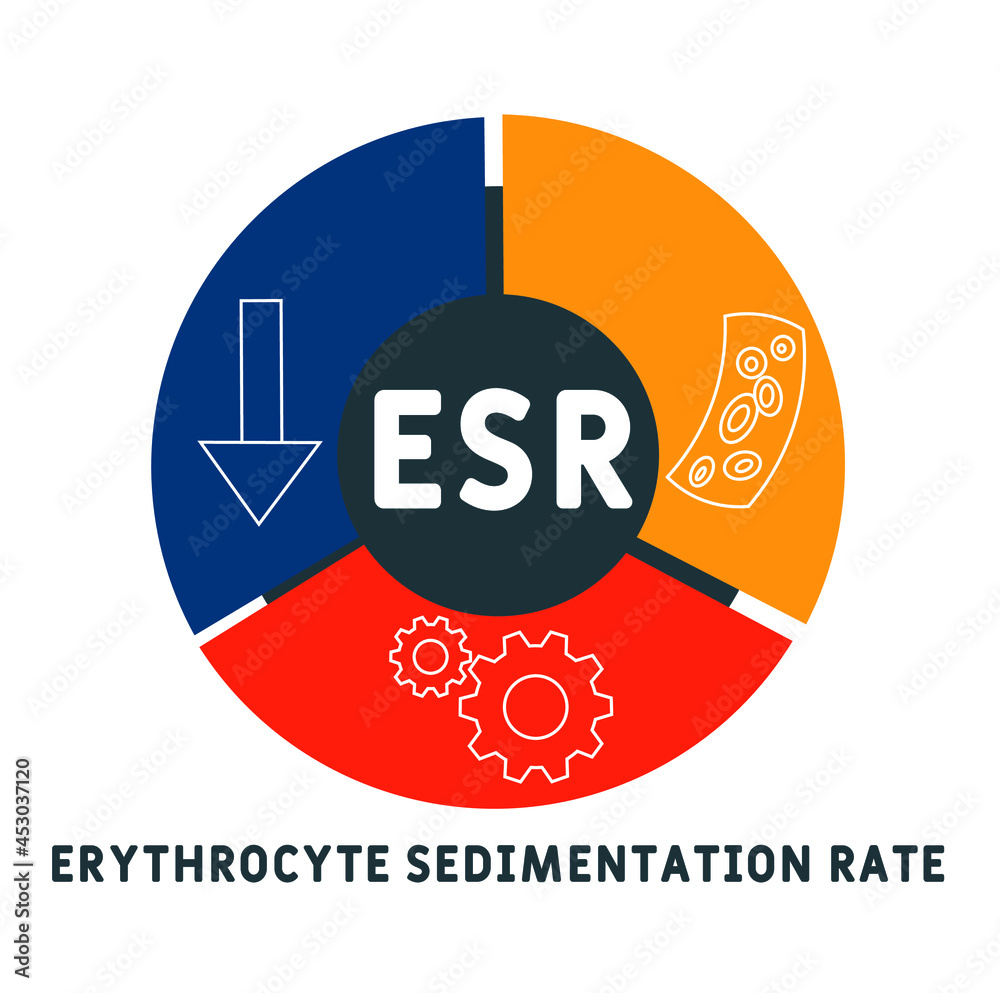 Vecteur Stock ESR - Erythrocyte Sedimentation Rate acronym. medical ...