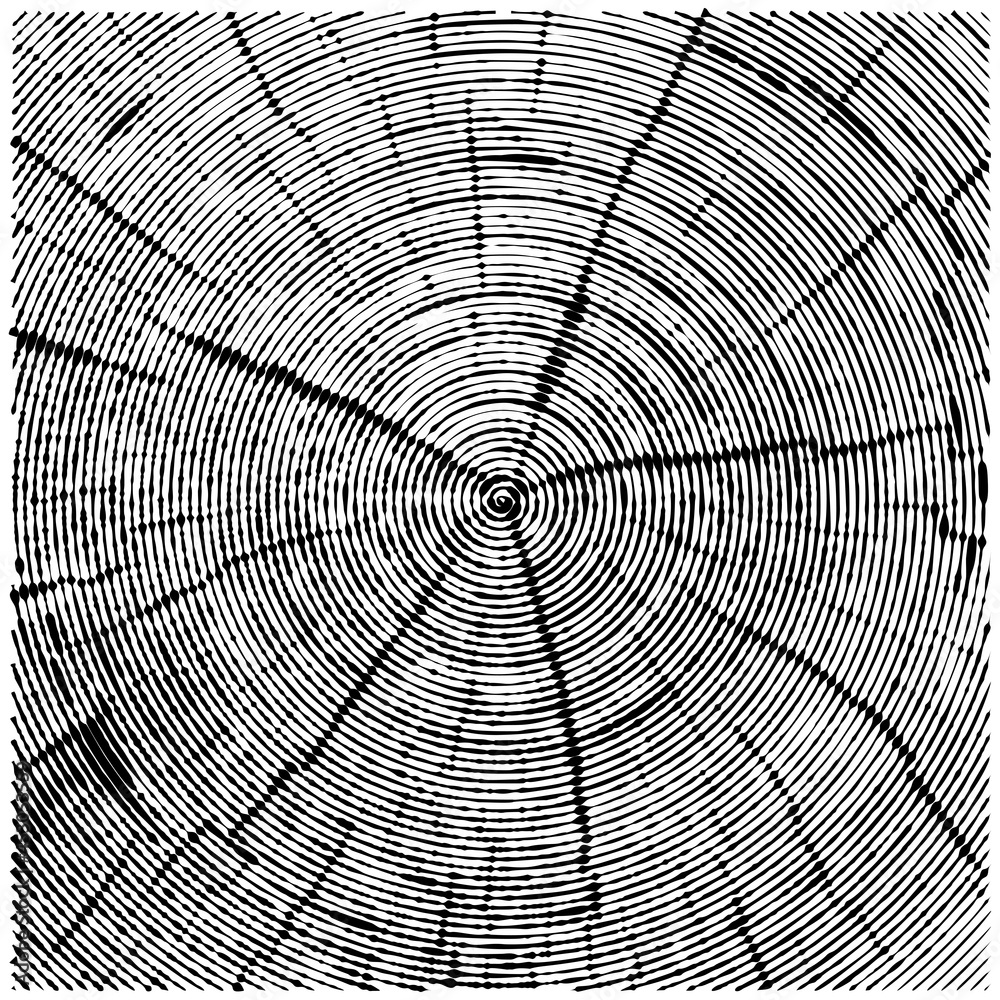 Engraved texture of saw cut tree trunk. Wood cross section pattern ...