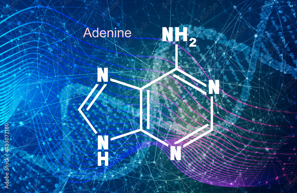 Chemical structural formula of adenine - DNA and RNA nitrogen base ...