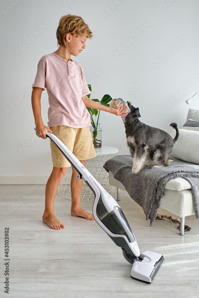 Full body barefoot boy caressing loyal Schnauzer dog while cleaning ...