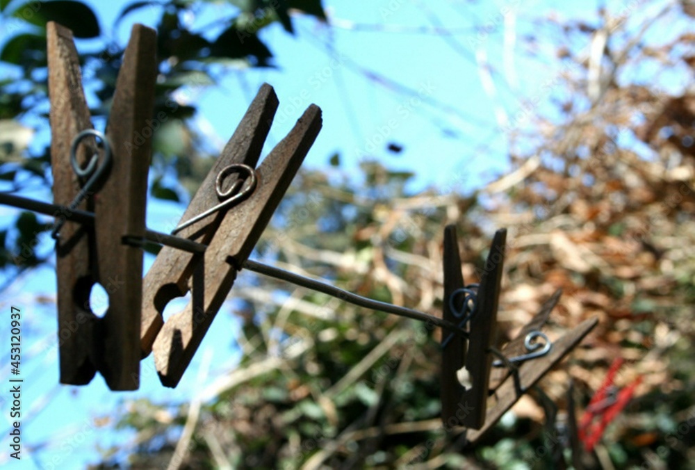 Broches de madera para colgar ropa alineados en el alambre de acero ...