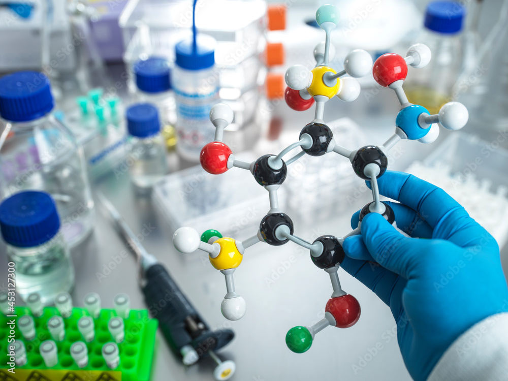 Scientist holding molecular model in laboratory Stock Photo | Adobe Stock