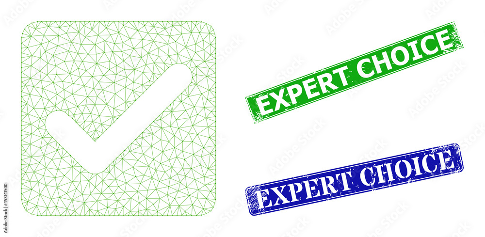 Polygonal confirmation checkbox image, and Expert Choice blue and green ...
