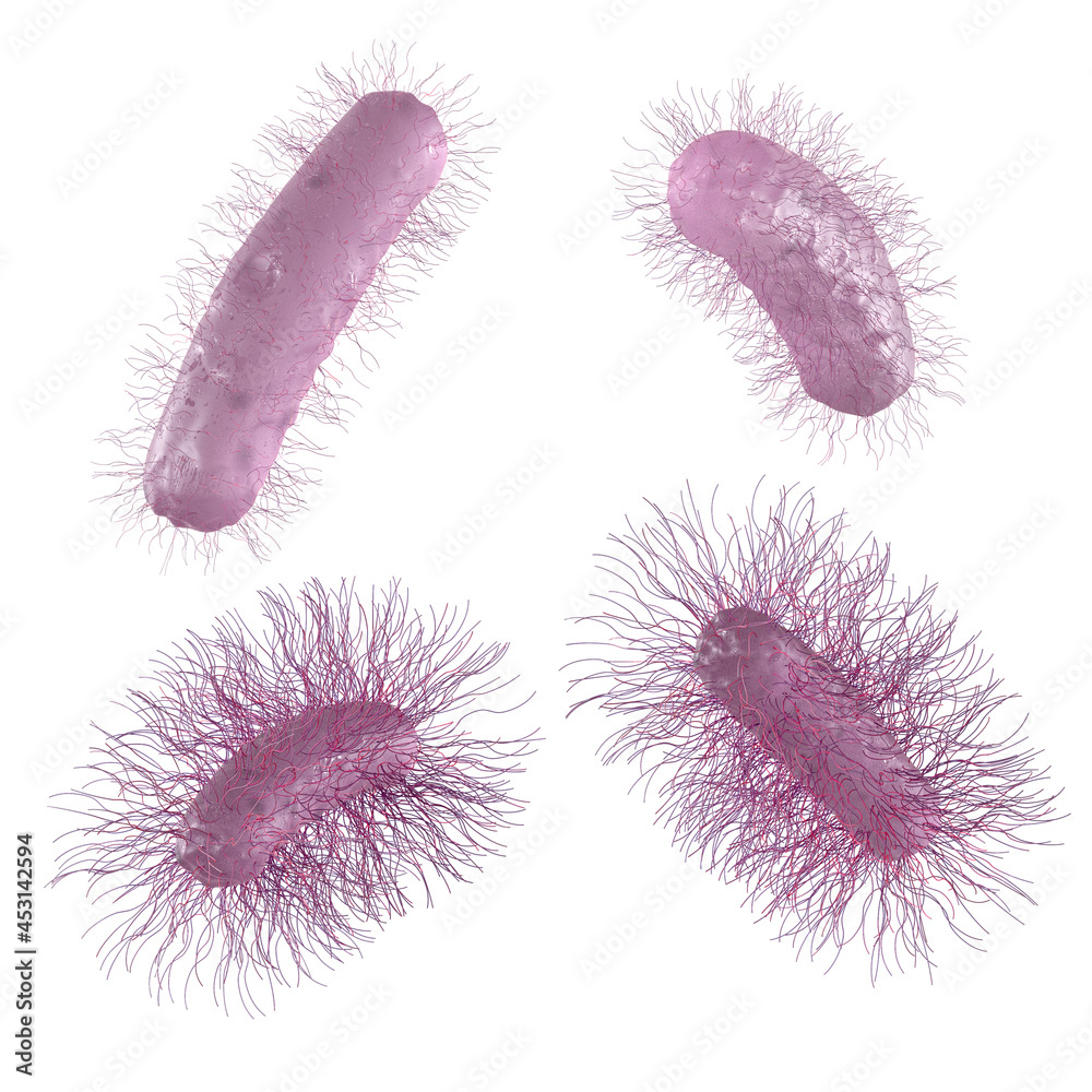 Medical background, bacteria peritrichus with flagella over entire ...