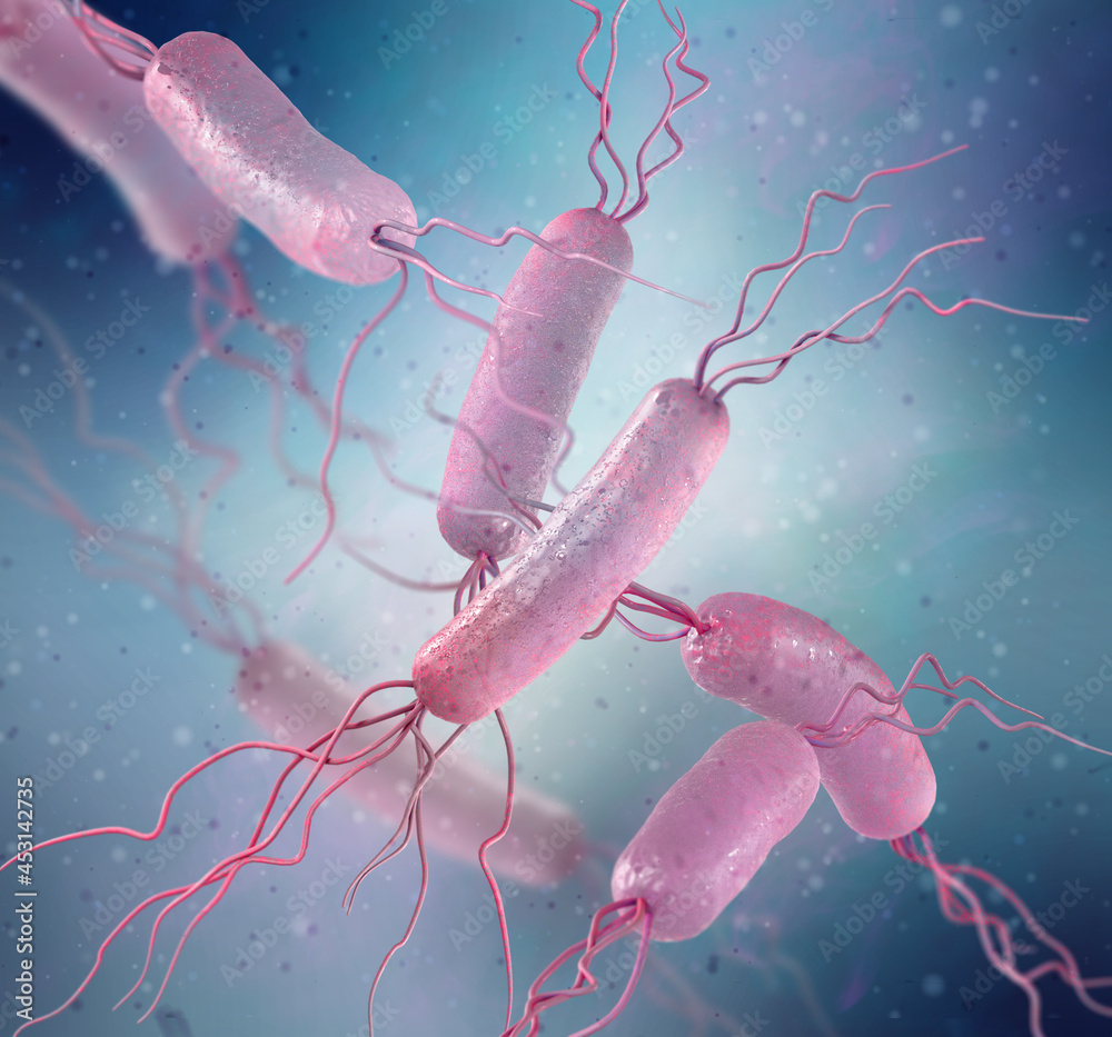 Medical background, amphitrichous bacteria with two flagella or a ...