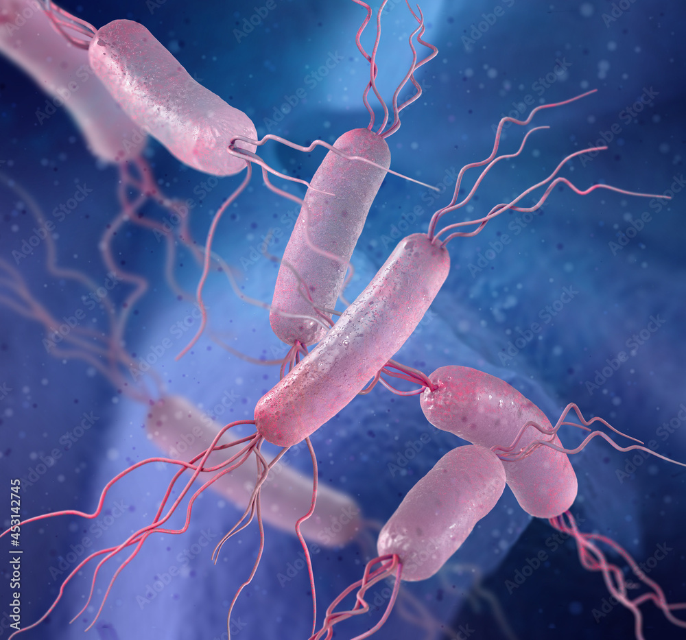 Medical background, amphitrichous bacteria with two flagella or a ...