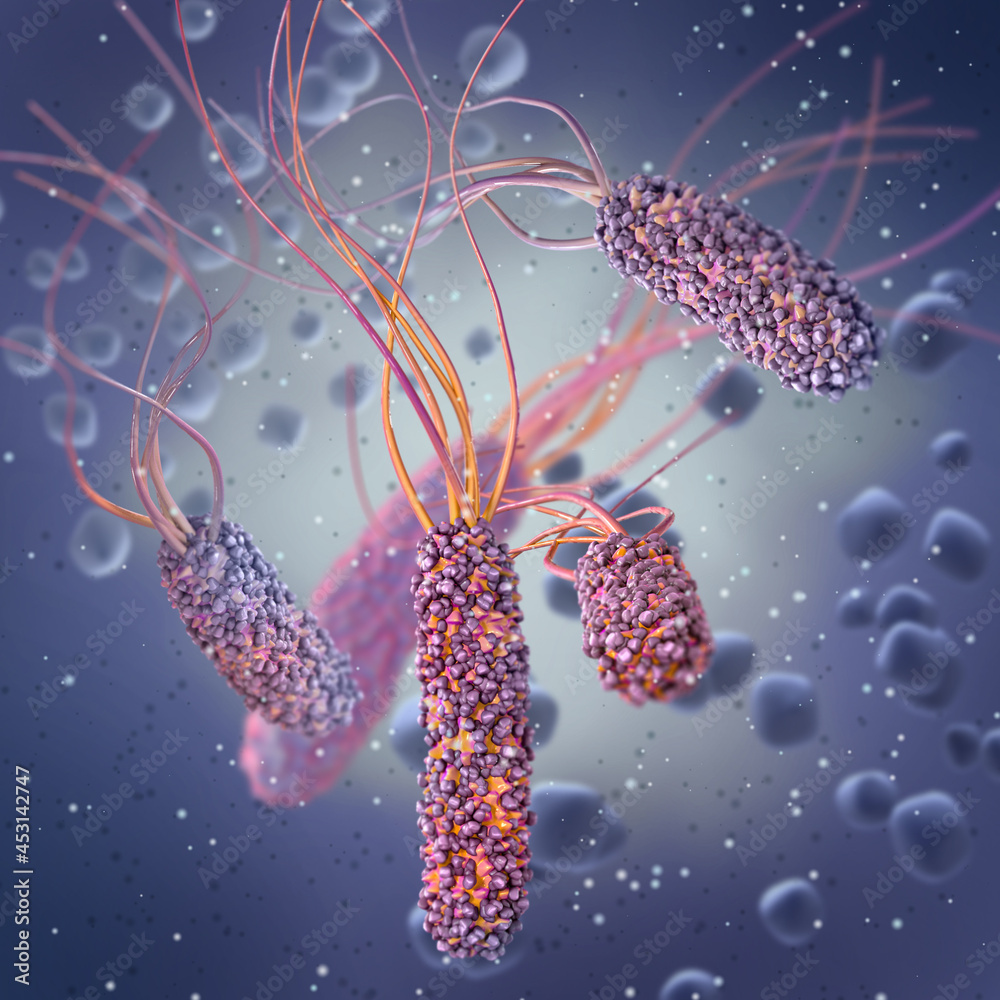 Medical background, lophotrichous bacteria with a monopolar arrangement ...